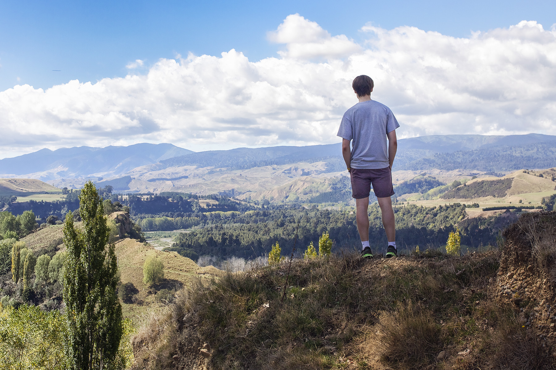 Sight and Sound - DiAndrea Media